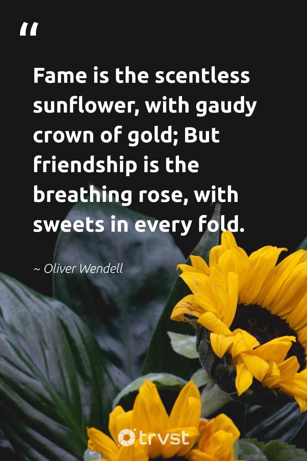 76 Sunflower Quotes to Brighten Up and Warm Your Day (2024)