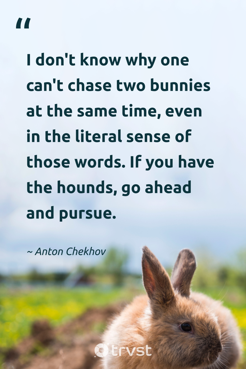 32 Rabbit Quotes Hopping With Cute Charm And Metaphors (2025)