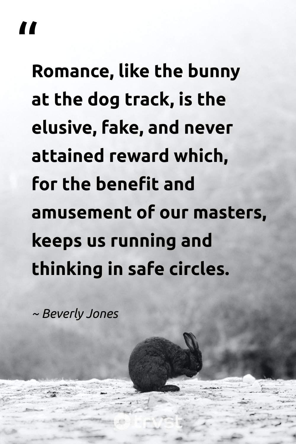 32 Rabbit Quotes Hopping With Cute Charm And Metaphors (2025)