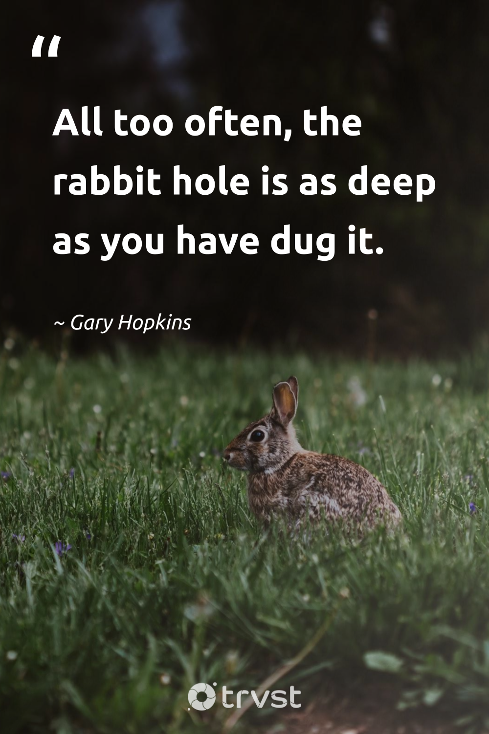 32 Rabbit Quotes Hopping With Cute Charm And Metaphors (2025)