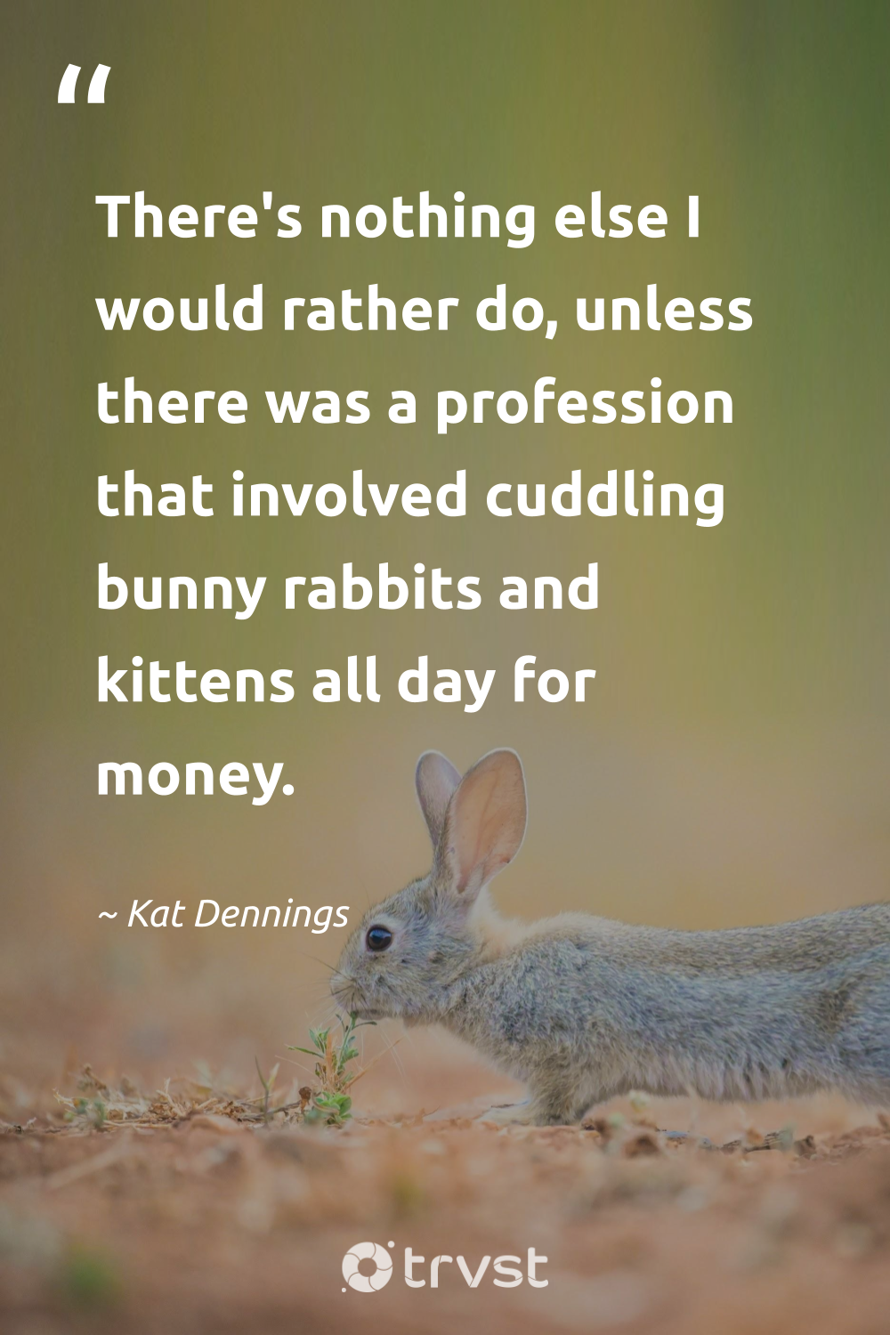 32 Rabbit Quotes Hopping With Cute Charm And Metaphors (2024)