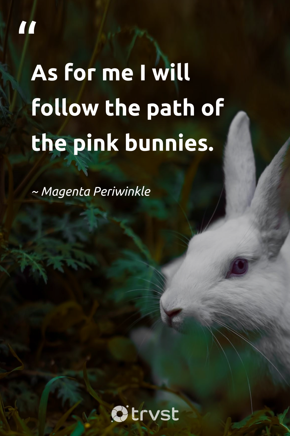 32 Rabbit Quotes Hopping With Cute Charm And Metaphors (2025)