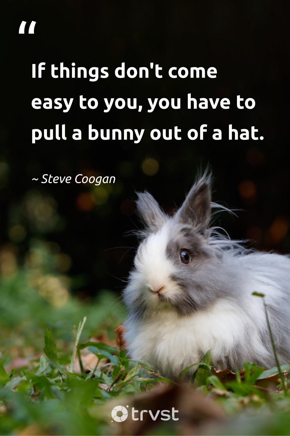 32 Rabbit Quotes Hopping With Cute Charm And Metaphors (2025)