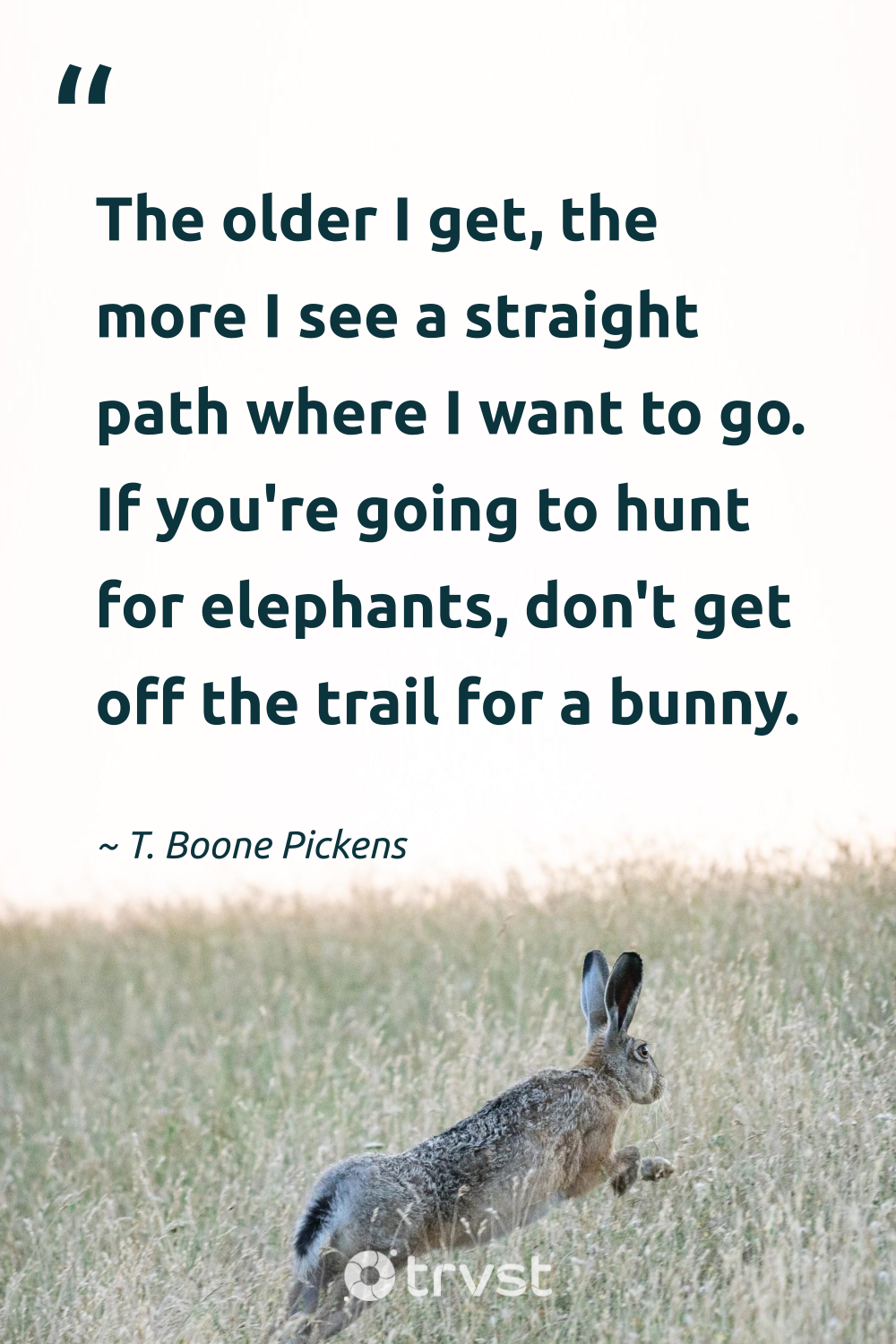 32 Rabbit Quotes Hopping With Cute Charm And Metaphors (2025)