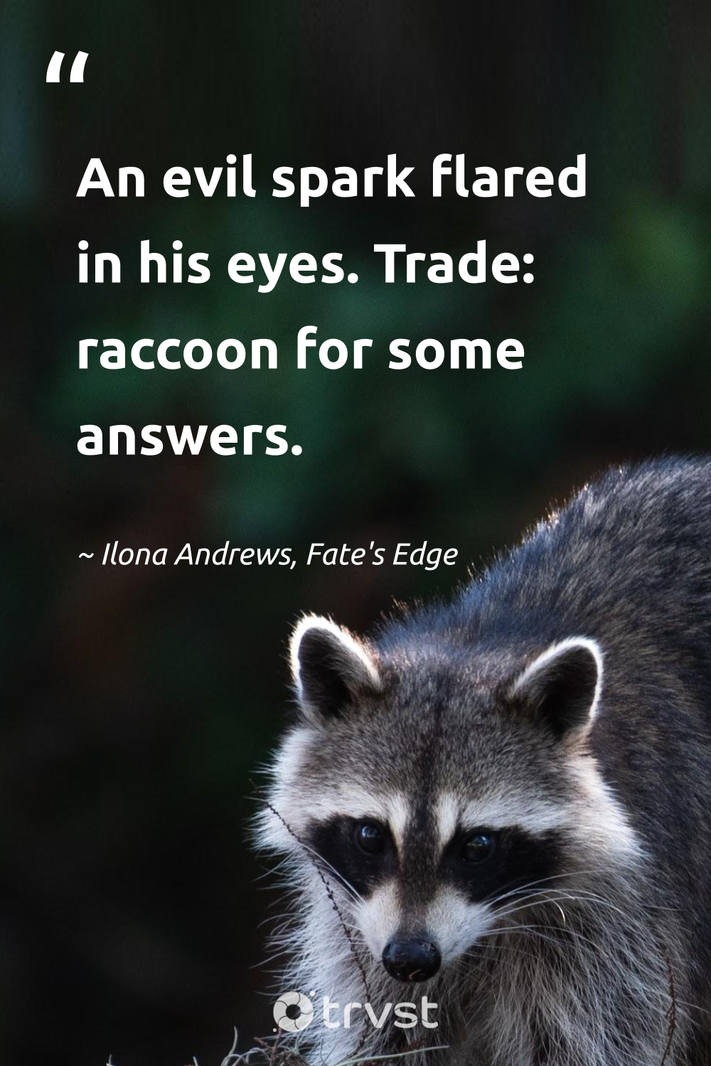 10 Raccoon Quotes About The Masked Creature