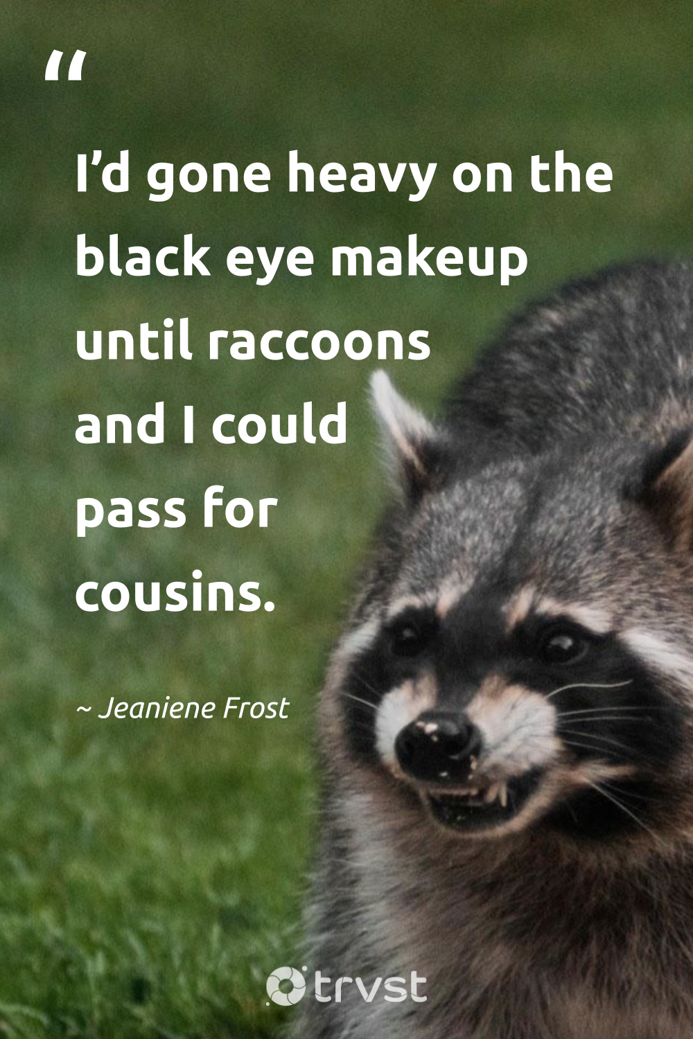 10 Raccoon Quotes About The Masked Creature