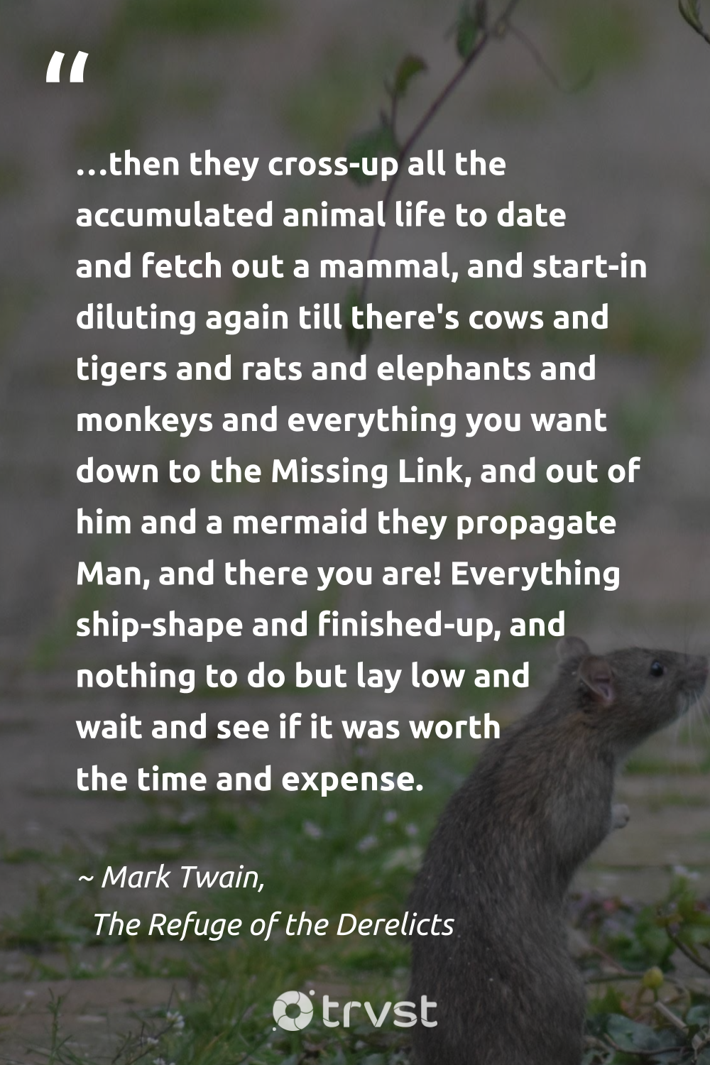 23 Rat Quotes About The Misunderstood Rodents