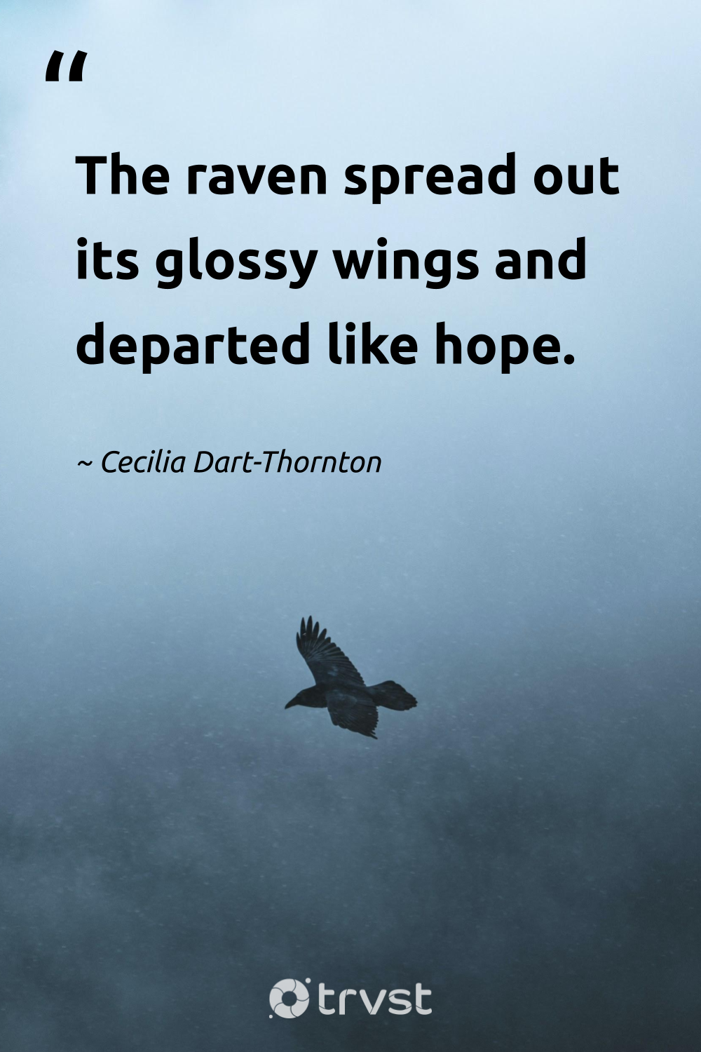 32 Riveting Raven Quotes About Diverse Reputations (2025)