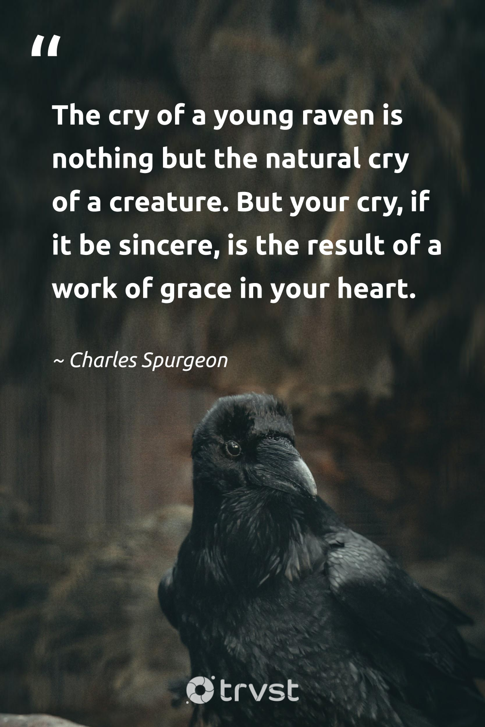 32 Riveting Raven Quotes About Diverse Reputations (2025)