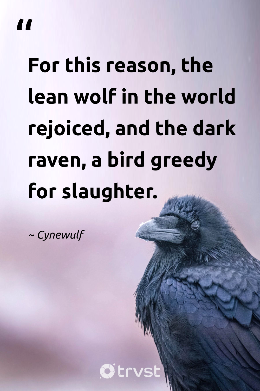 32 Riveting Raven Quotes About Diverse Reputations (2025)