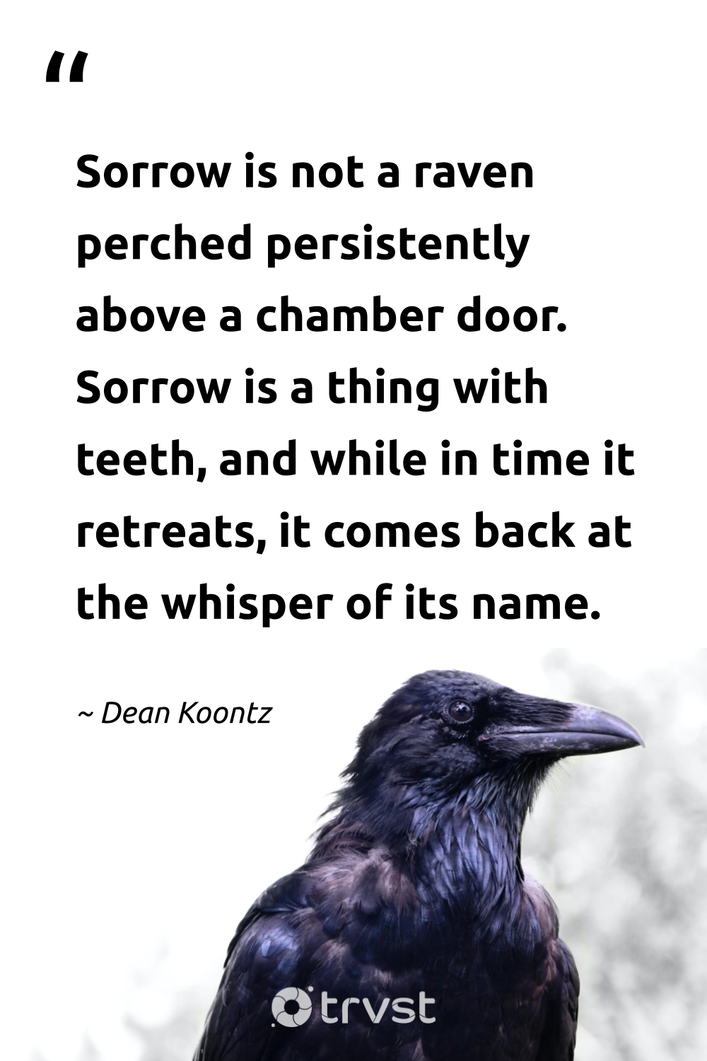 32 Riveting Raven Quotes About Diverse Reputations (2025)