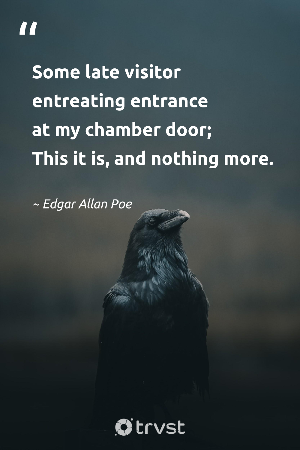 32 Riveting Raven Quotes About Diverse Reputations (2025)