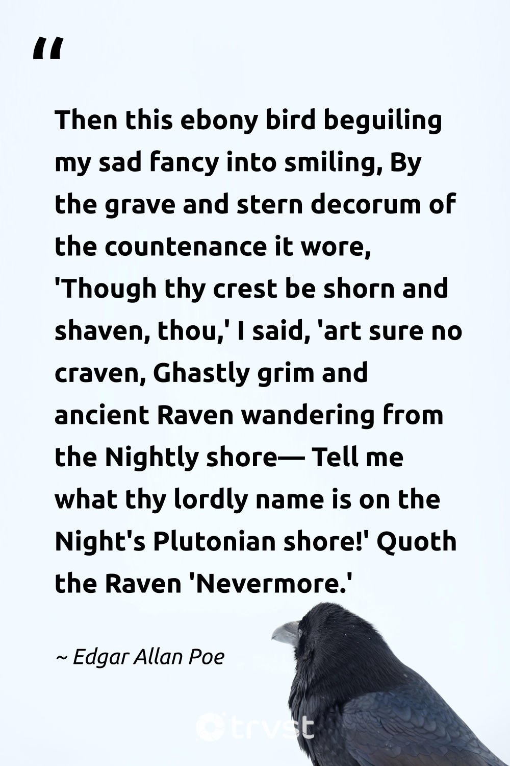 32 Riveting Raven Quotes About Diverse Reputations (2025)