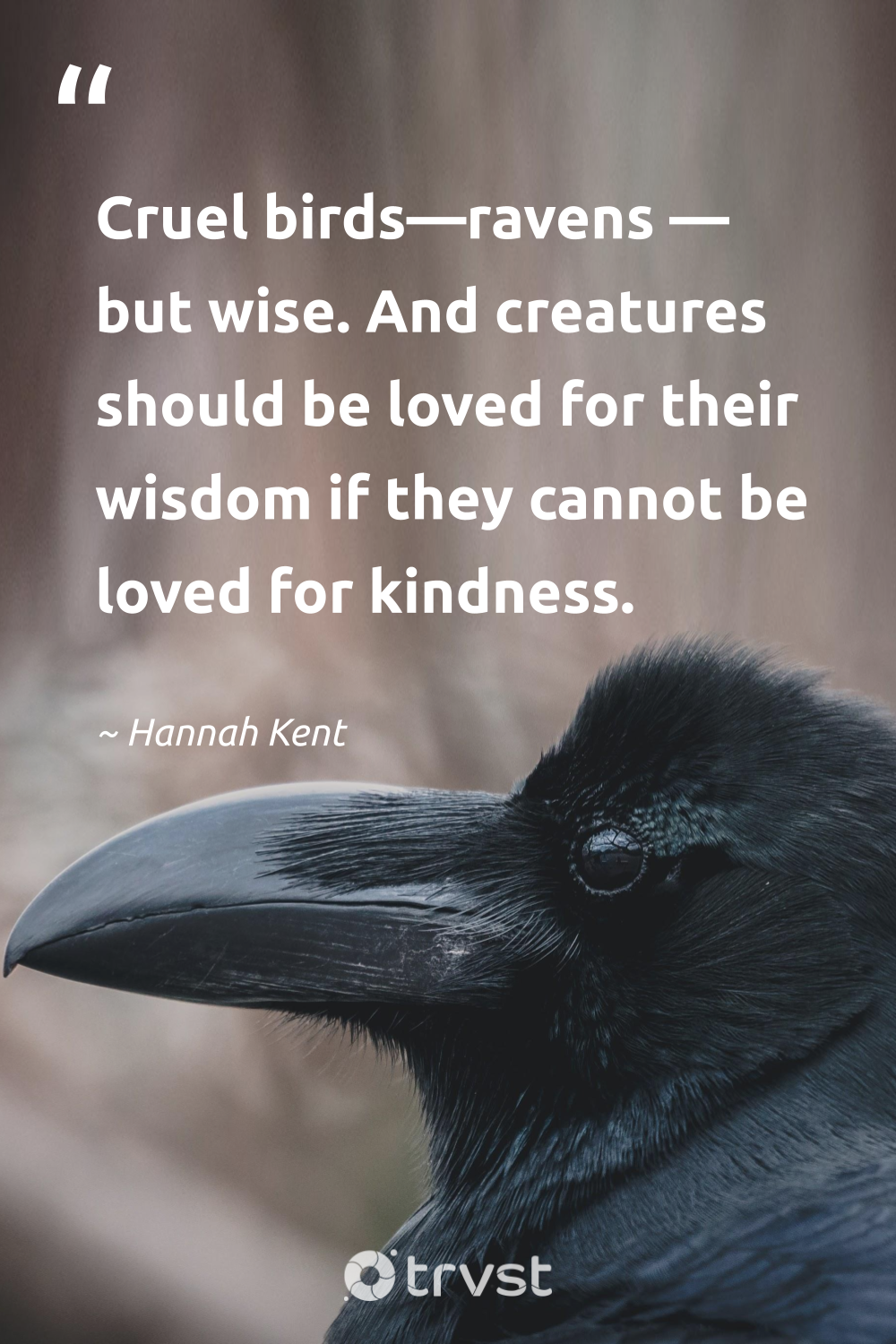 32 Riveting Raven Quotes About Diverse Reputations (2025)