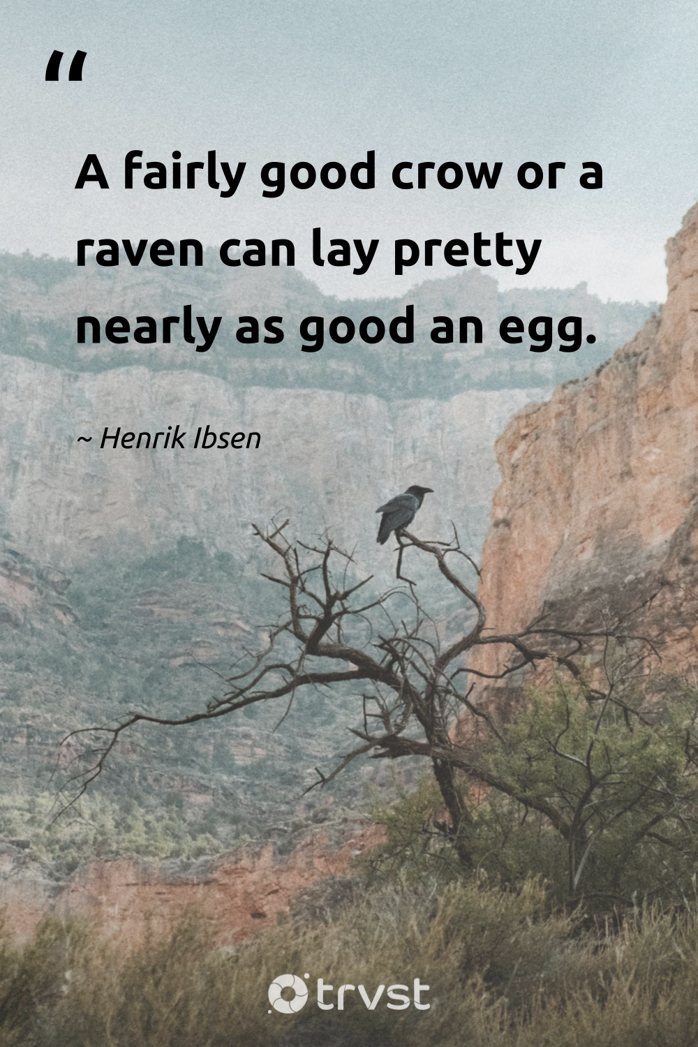 32 Riveting Raven Quotes About Diverse Reputations (2025)