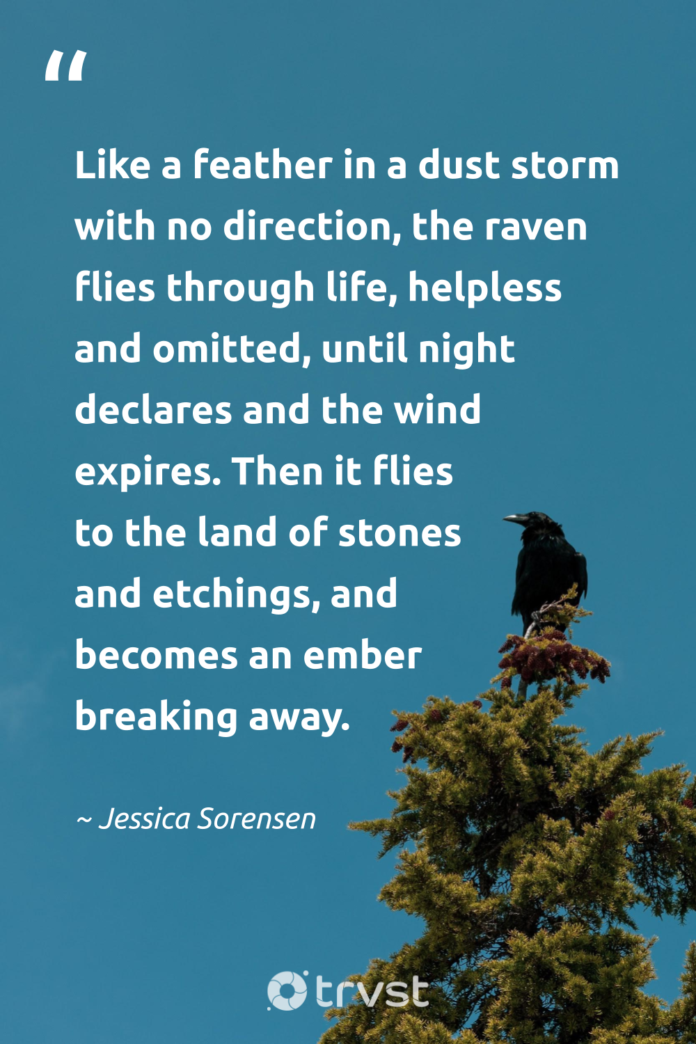 32 Riveting Raven Quotes About Diverse Reputations (2025)