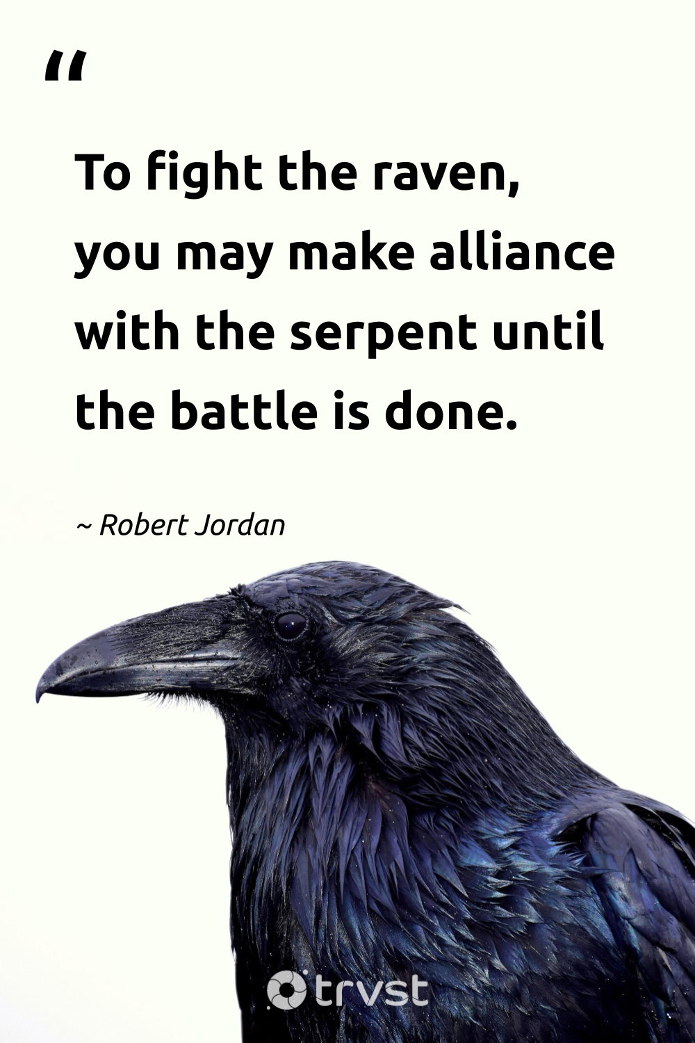 32 Riveting Raven Quotes About Diverse Reputations (2025)