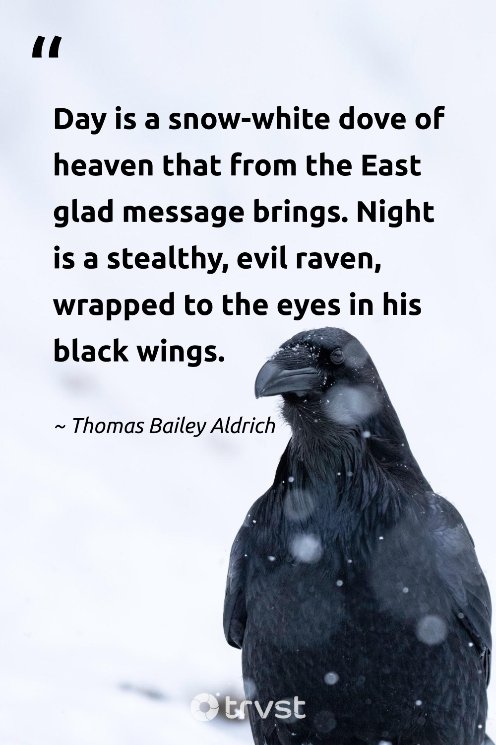 32 Riveting Raven Quotes About Diverse Reputations (2025)