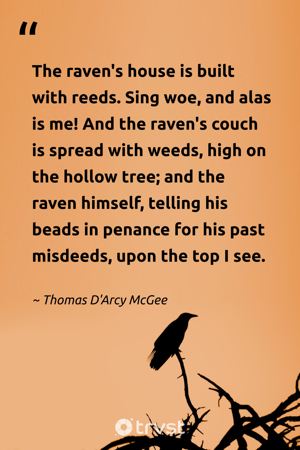 32 Riveting Raven Quotes About Diverse Reputations (2025)