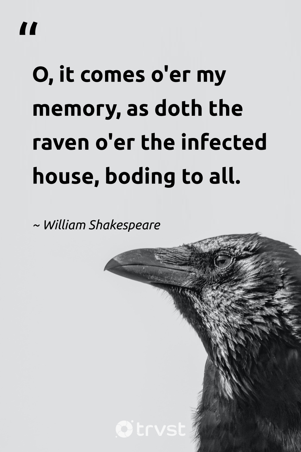 32 Riveting Raven Quotes About Diverse Reputations (2025)