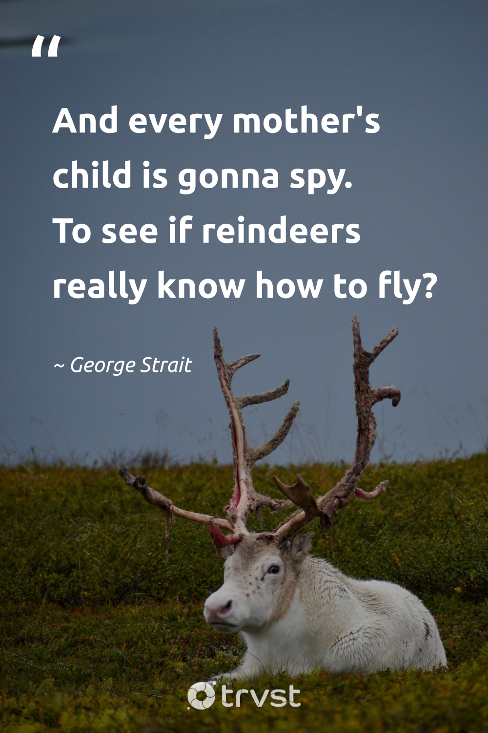 18 Reindeer Quotes about the Hooved Creatures of the North