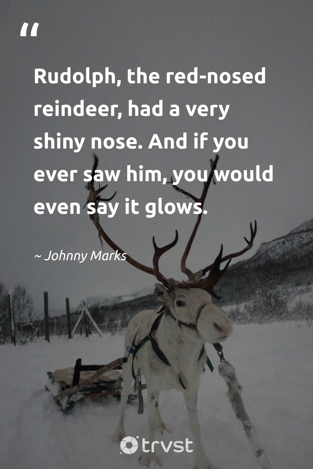 18 Reindeer Quotes about the Hooved Creatures of the North