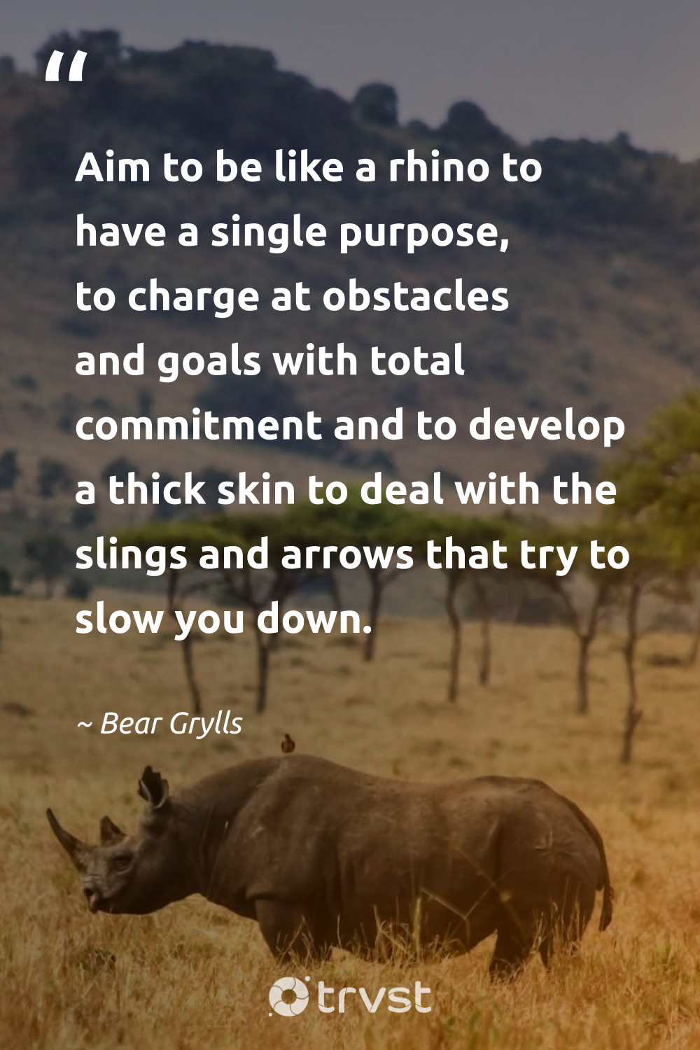 15 Rhinoceros Quotes About The Horned Herbivore