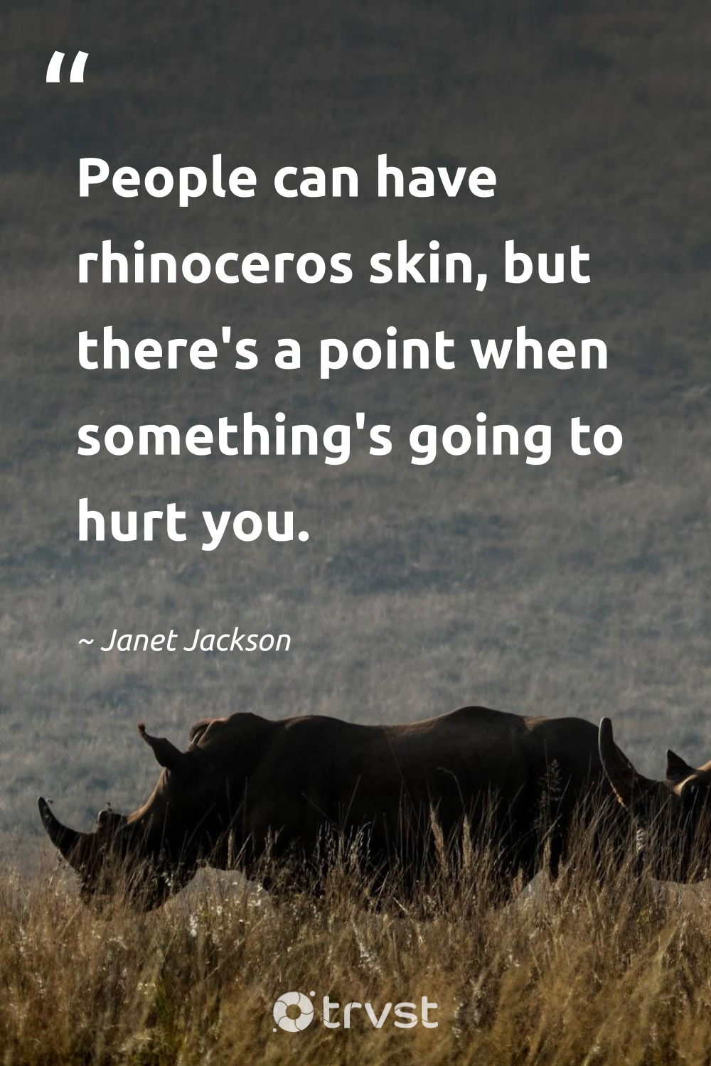15 Rhinoceros Quotes About The Horned Herbivore