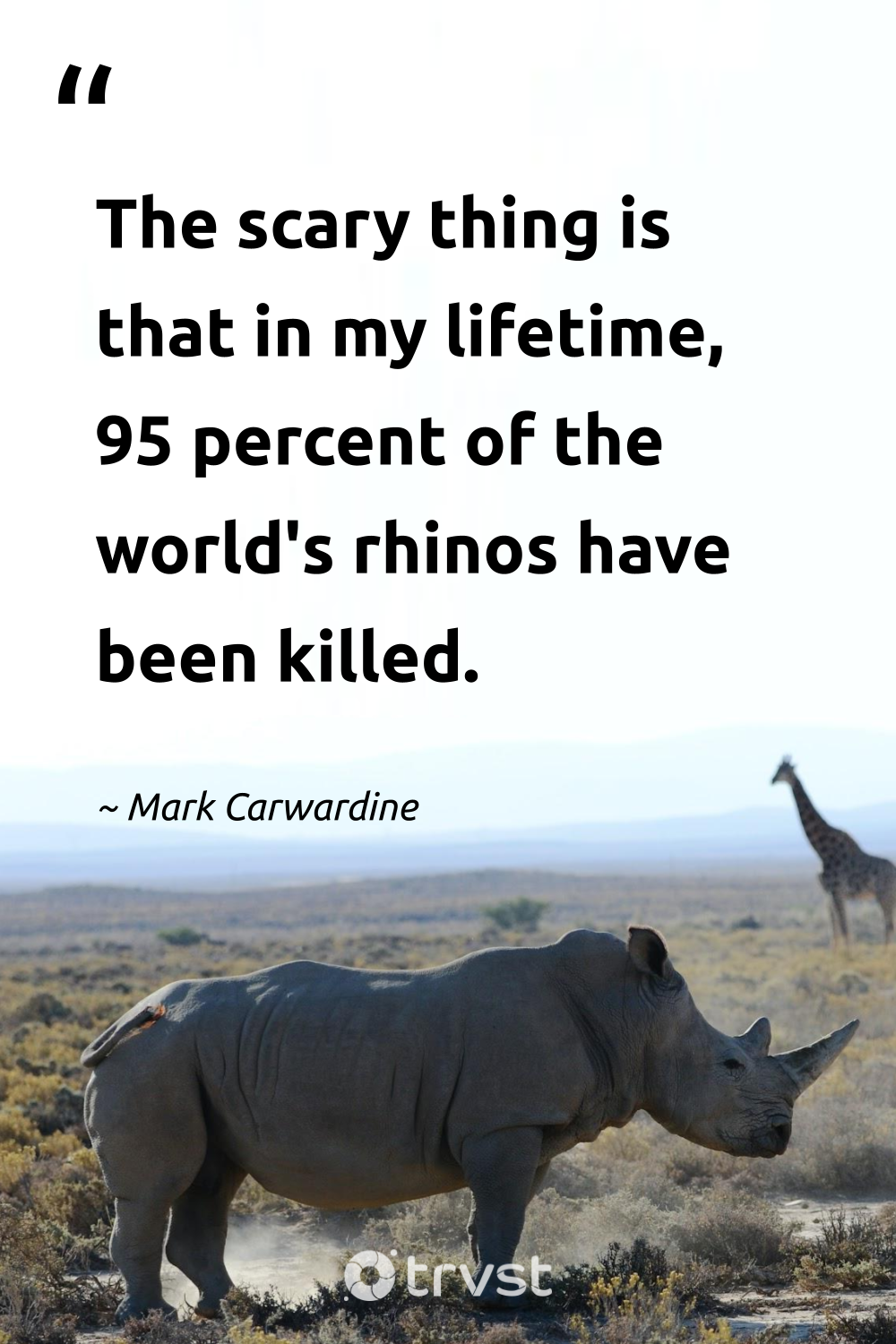 15 Rhinoceros Quotes About The Horned Herbivore