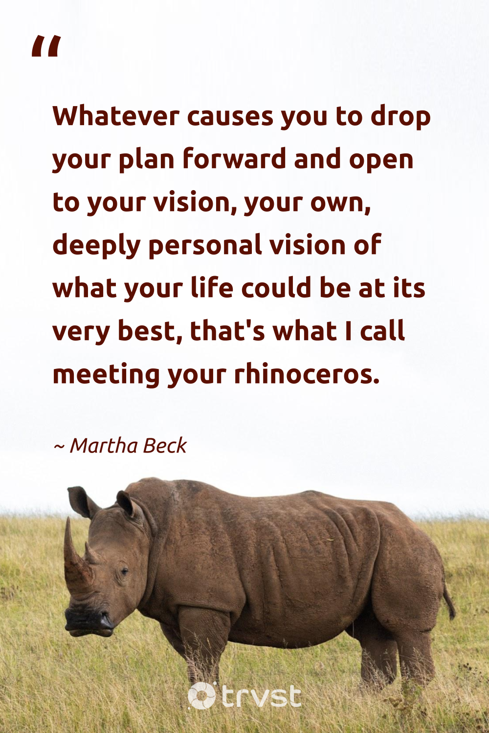 15 Rhinoceros Quotes About The Horned Herbivore