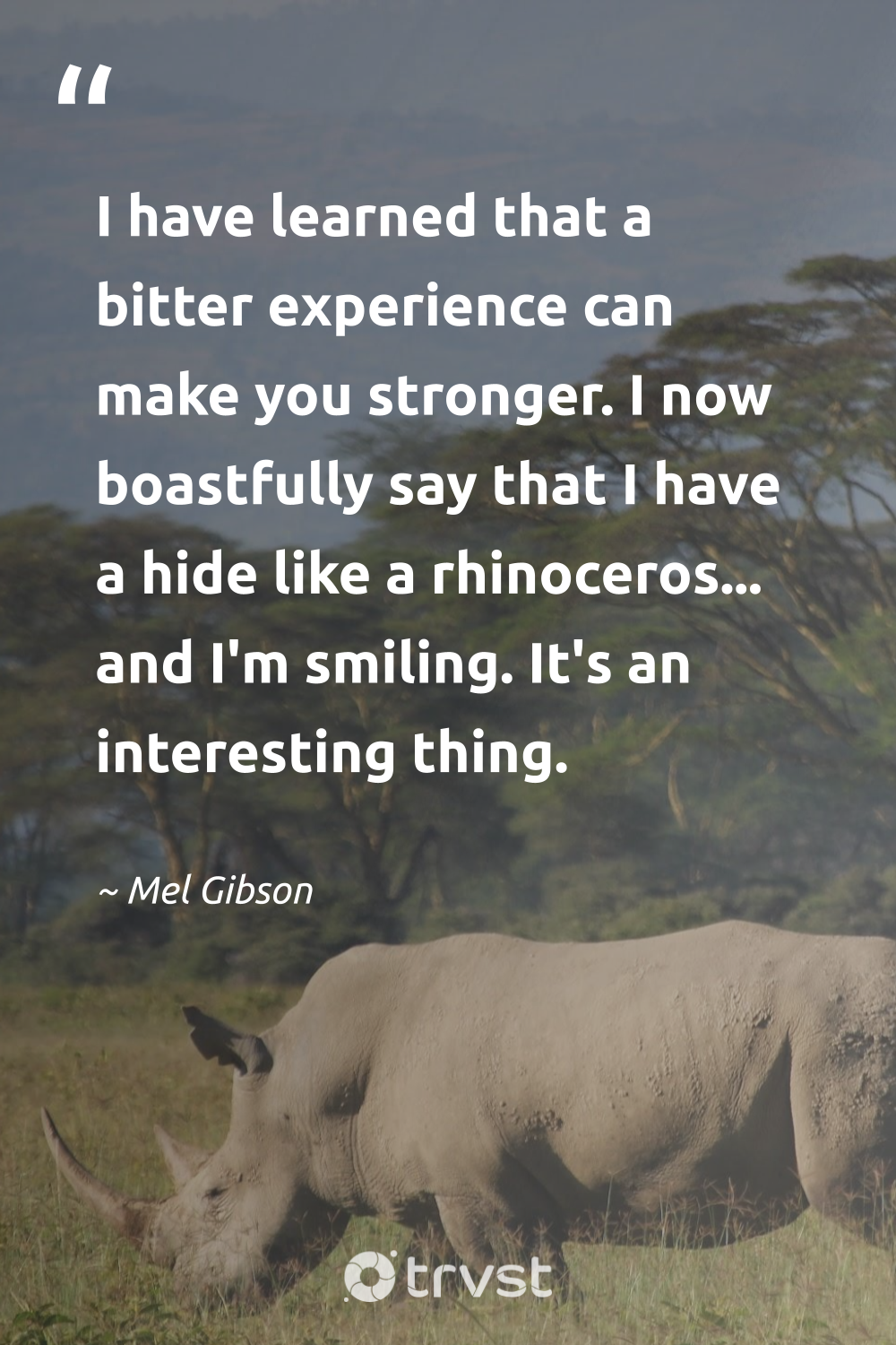 15 Rhinoceros Quotes About The Horned Herbivore