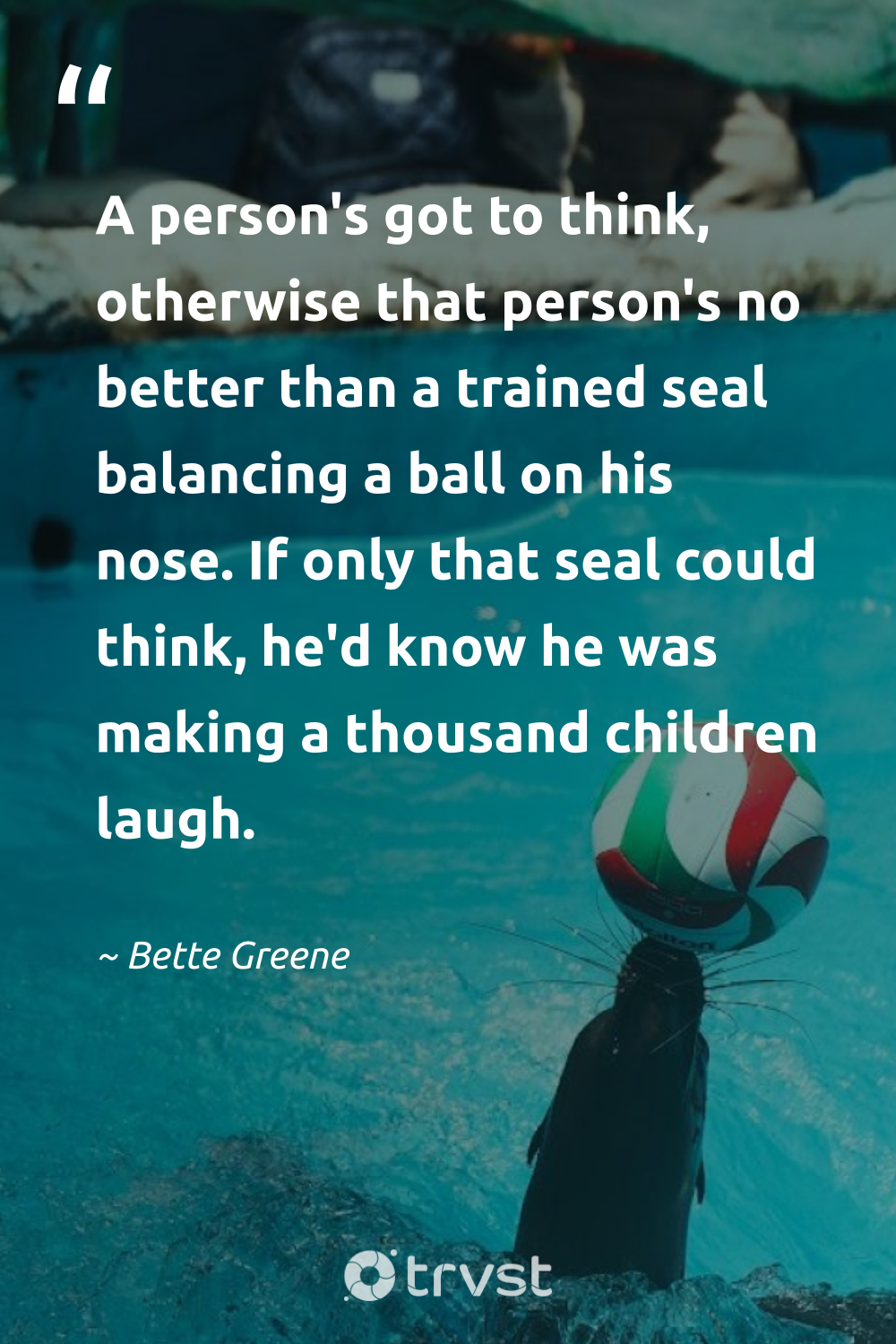 21 Seal Quotes About The Dogs Of The Sea