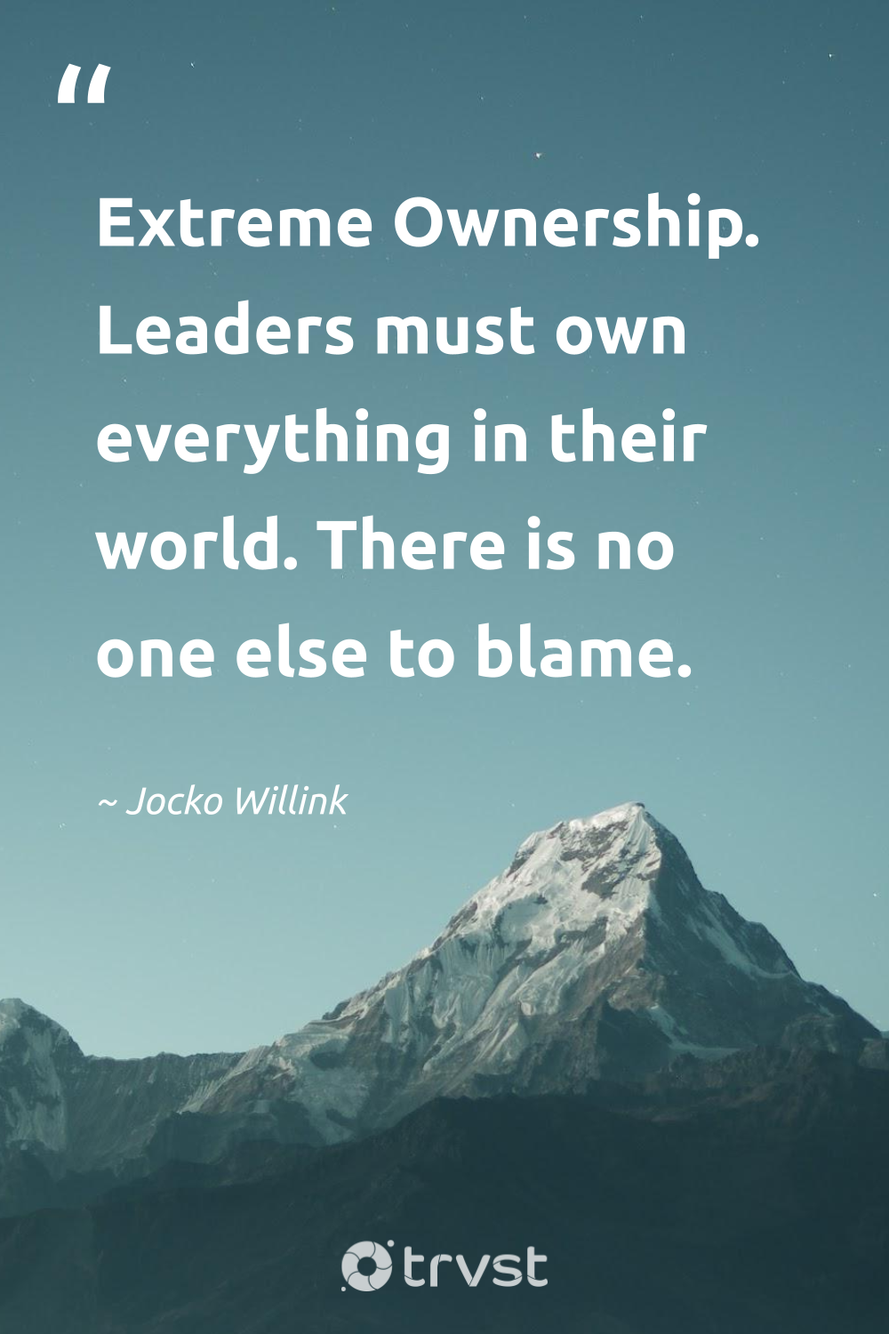 21 Seal Quotes About The Dogs Of The Sea