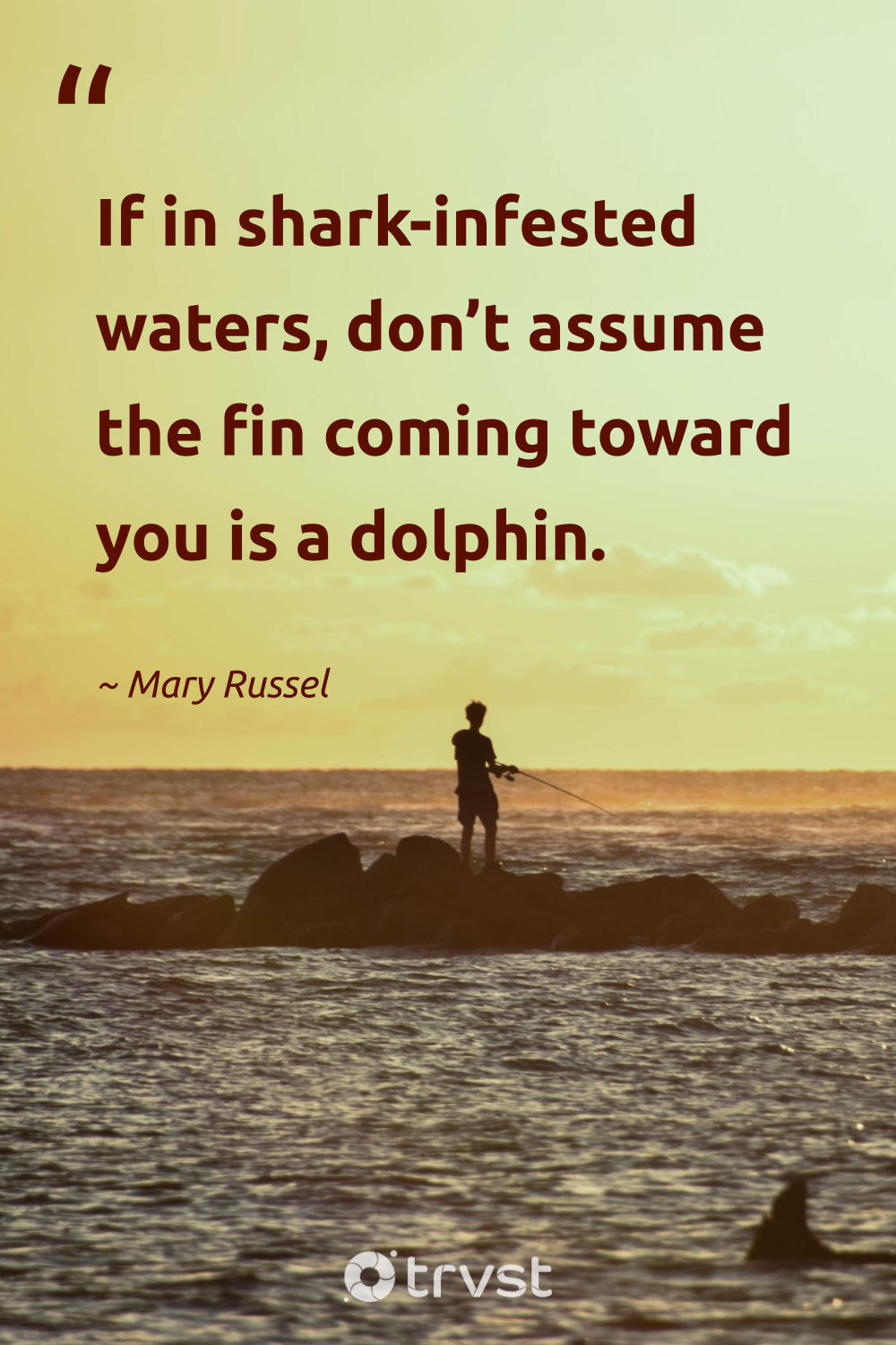 40 Shark Quotes About the Revered Predator of The Ocean (2025)