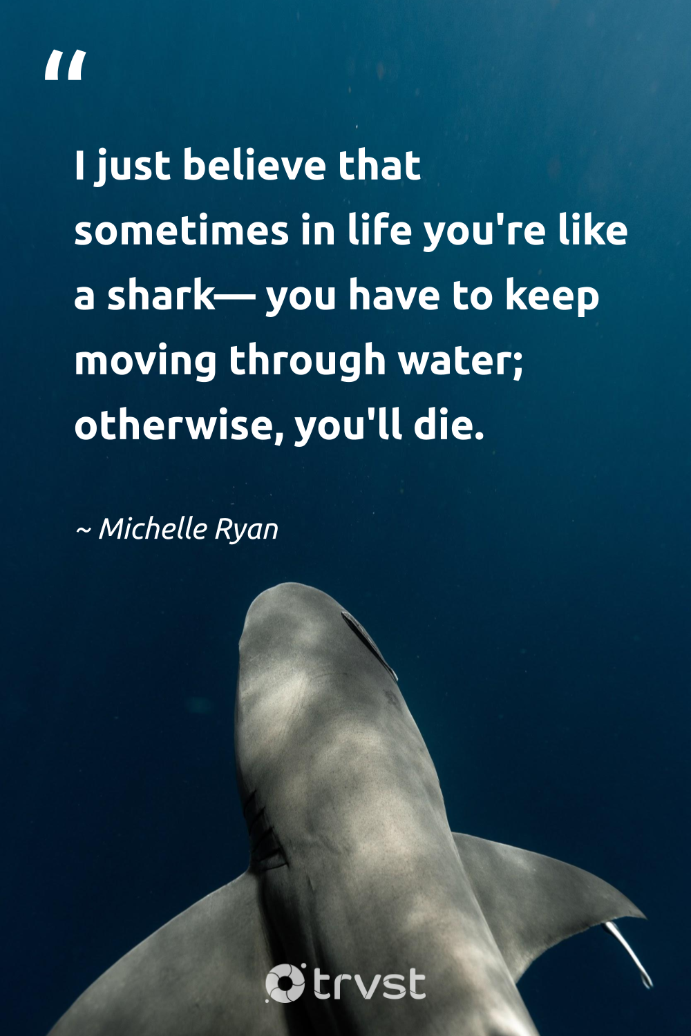 40 Shark Quotes About the Revered Predator of The Ocean (2025)