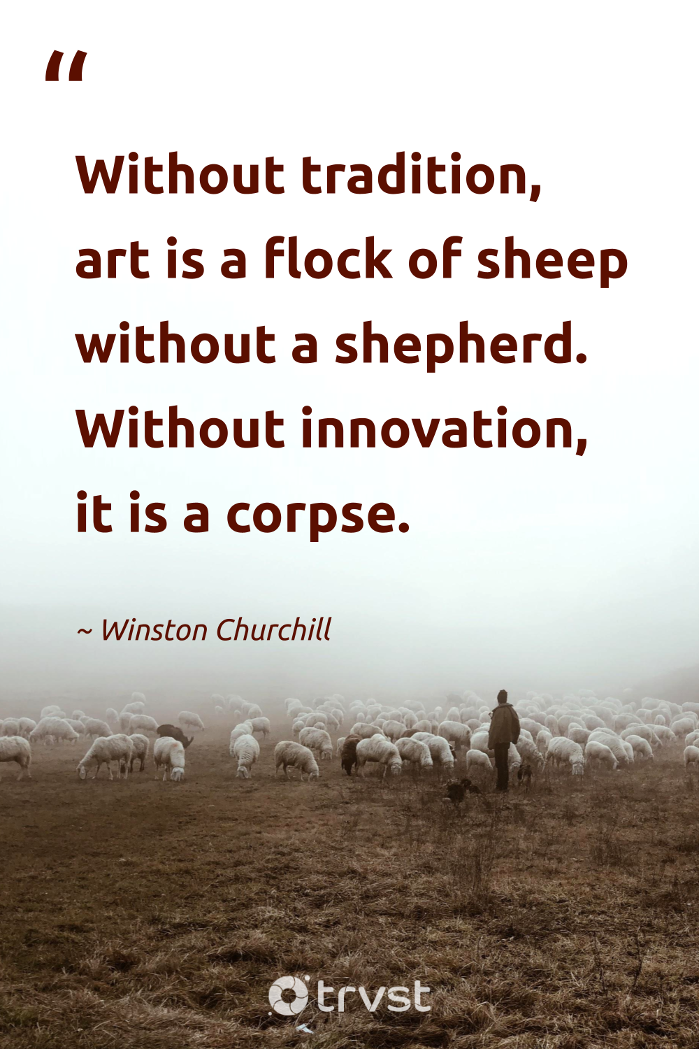 37 Sheep Quotes to Inspire Innocence, Individuality (2025)