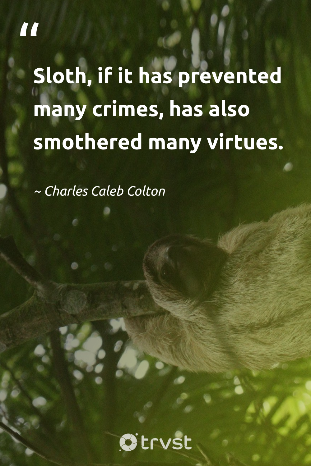 25 Sloth Quotes About Diligence and Slowing Down