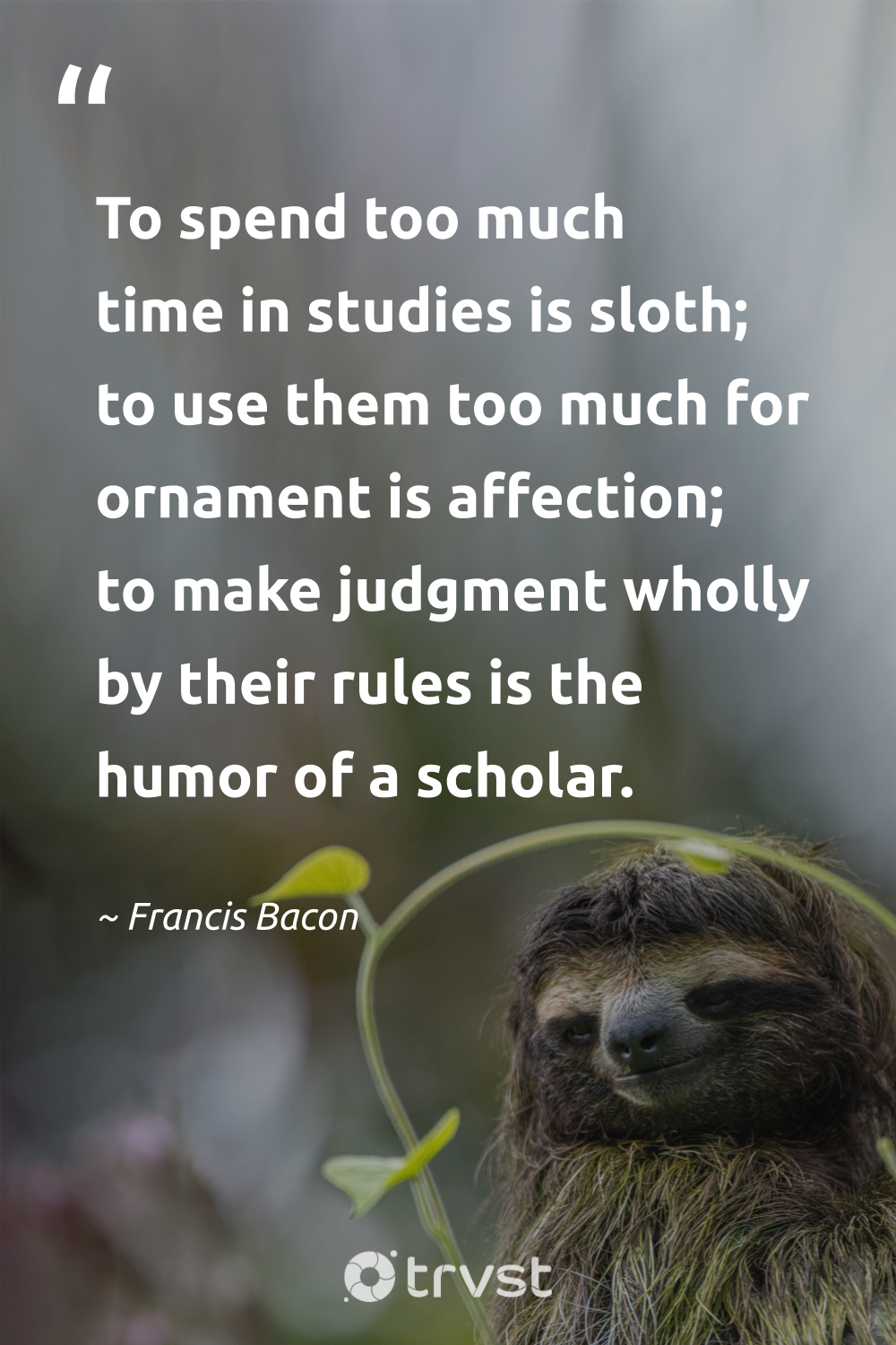 25 Sloth Quotes About Diligence and Slowing Down