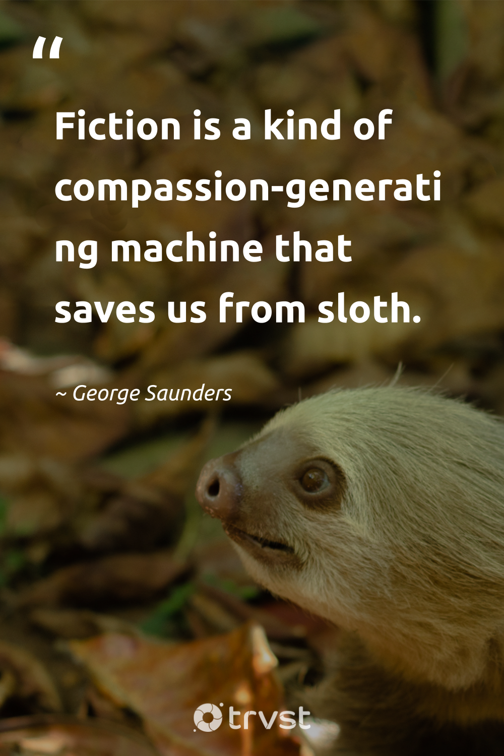 25 Sloth Quotes About Diligence and Slowing Down