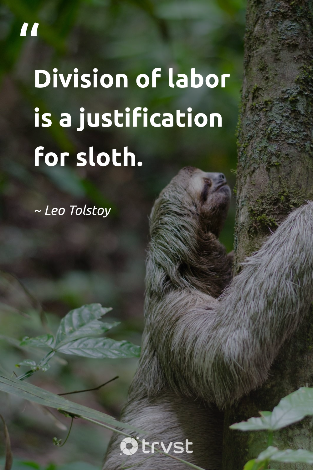 25 Sloth Quotes About Diligence and Slowing Down