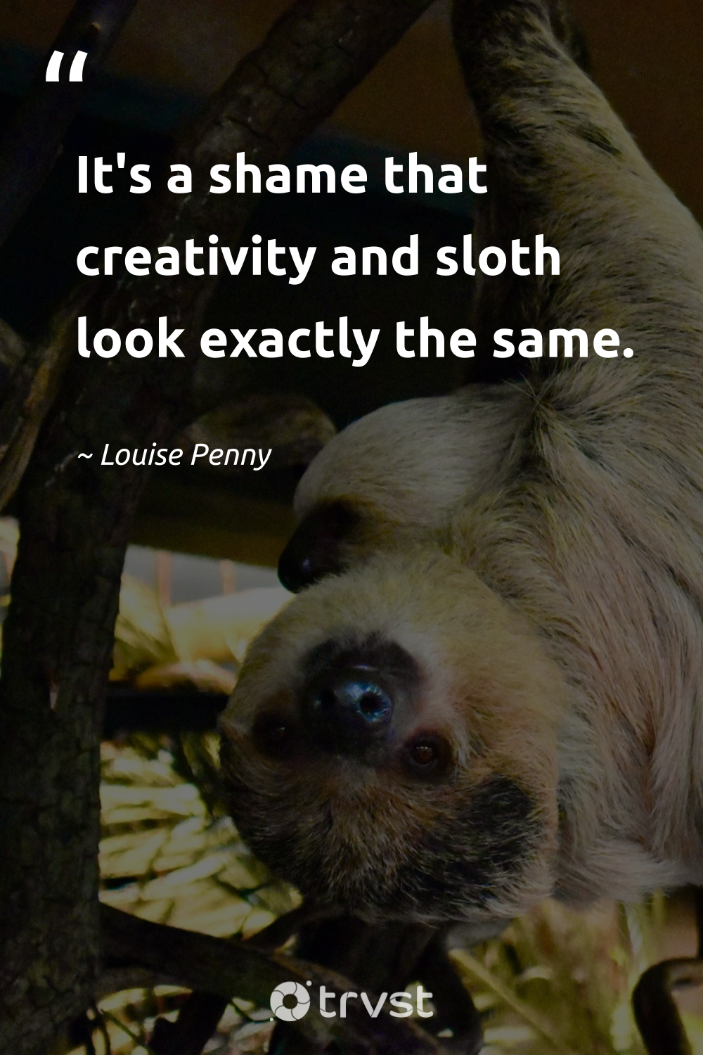 25 Sloth Quotes About Diligence and Slowing Down