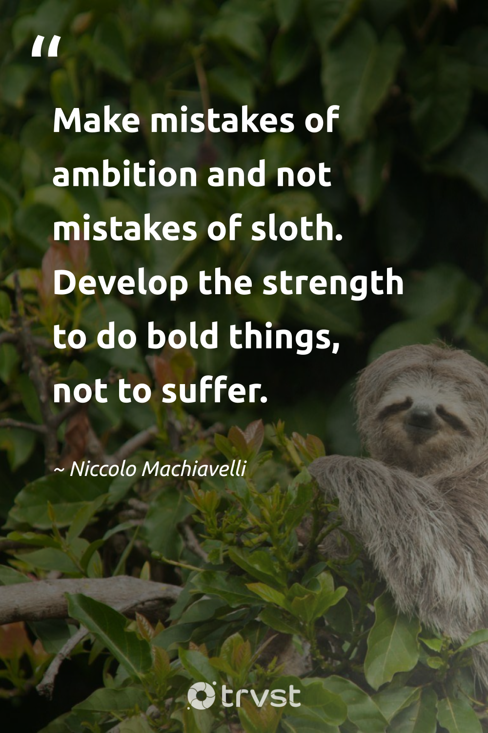 25 Sloth Quotes About Diligence and Slowing Down