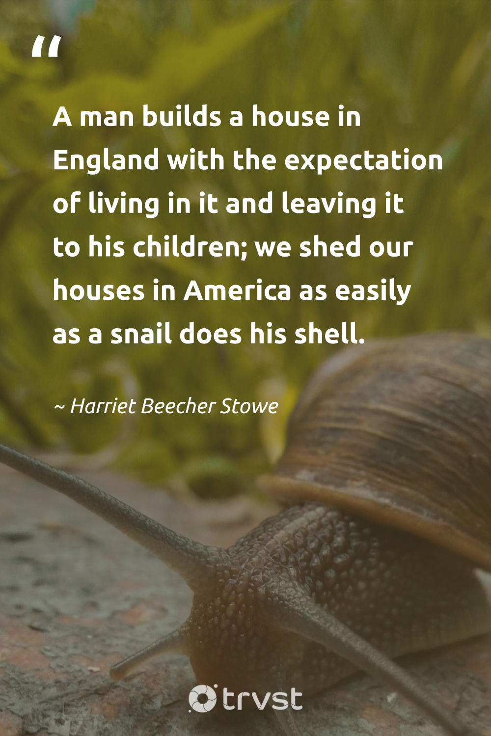 14 Snail Quotes For the Slow Take on Life