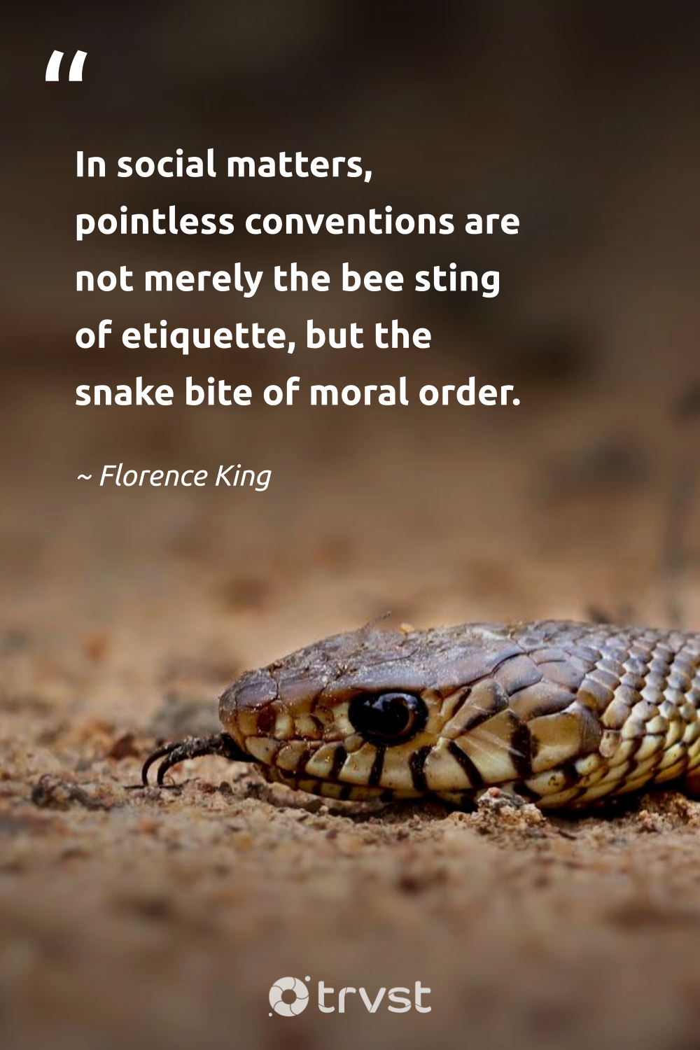 49 Snake Quotes Exploring The World of These Limbless Reptiles (2024)