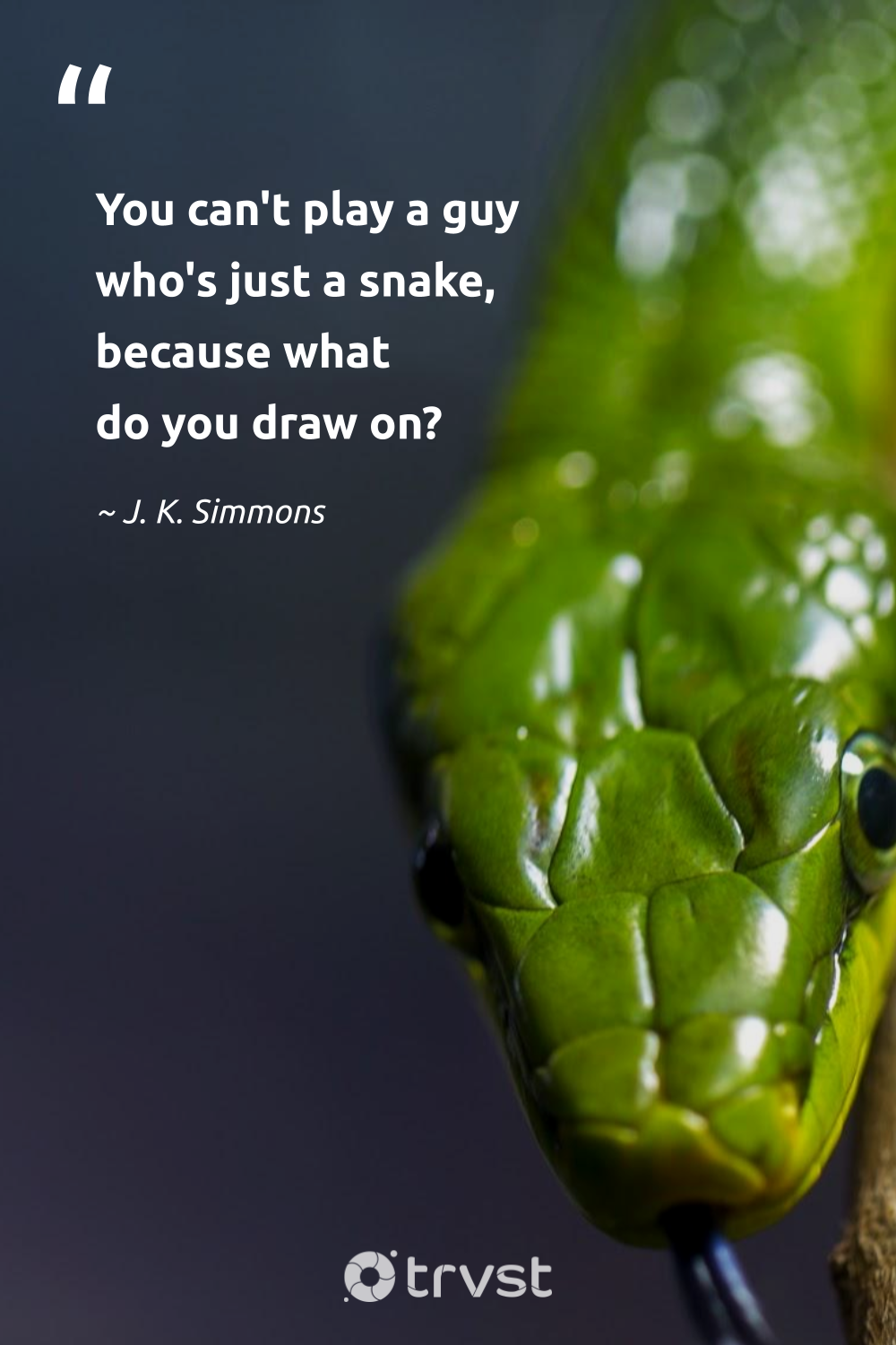 49 Snake Quotes Exploring The World of These Limbless Reptiles (2024)