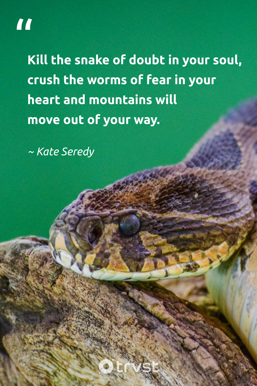 49 Snake Quotes Exploring The World of These Limbless Reptiles (2025)