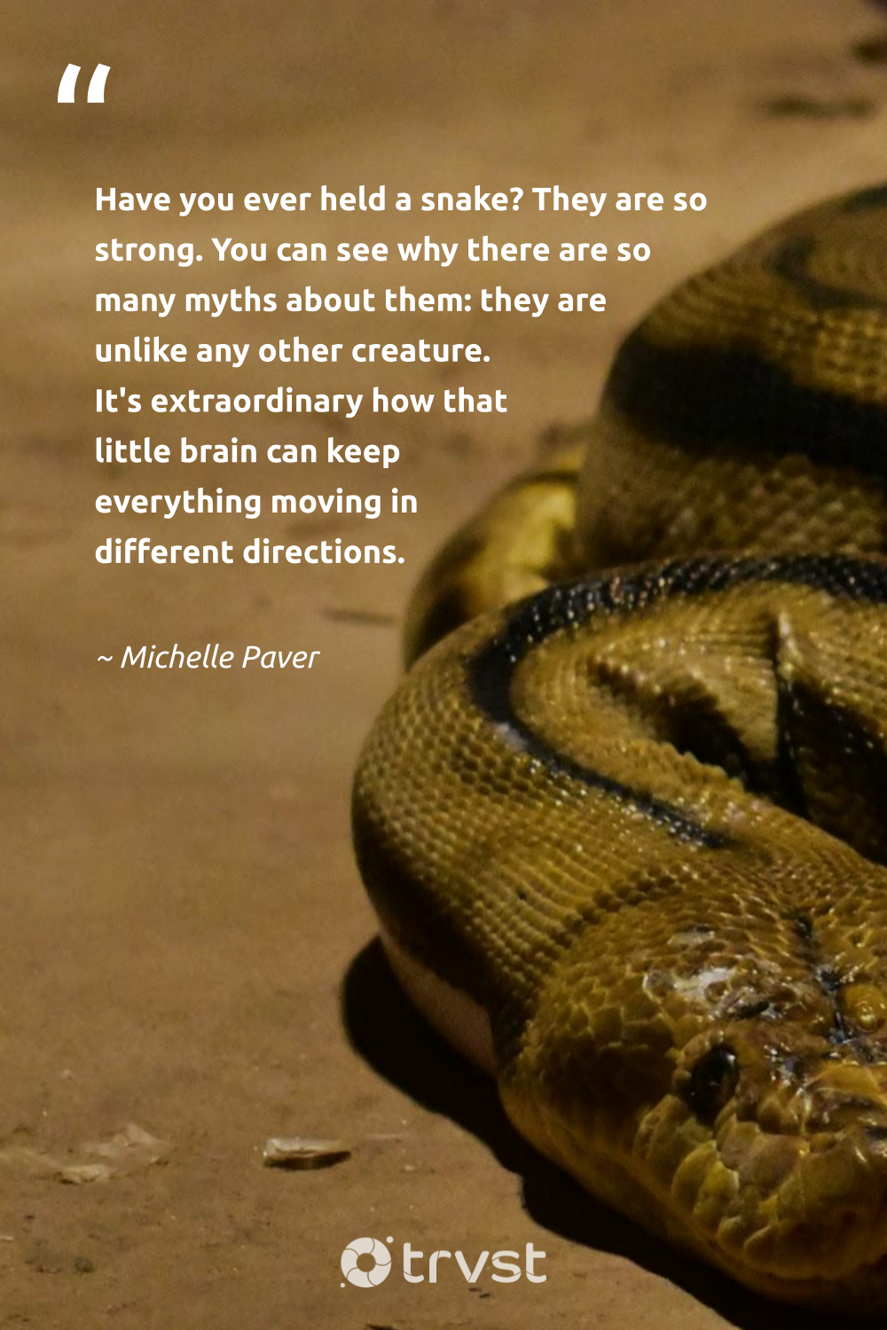 49 Snake Quotes Exploring The World of These Limbless Reptiles (2025)