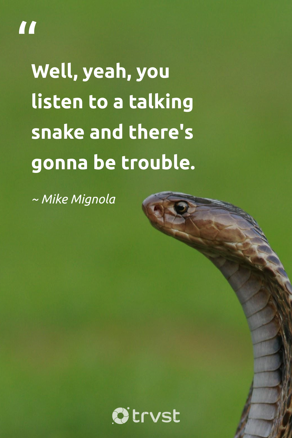 49 Snake Quotes Exploring The World of These Limbless Reptiles (2024)