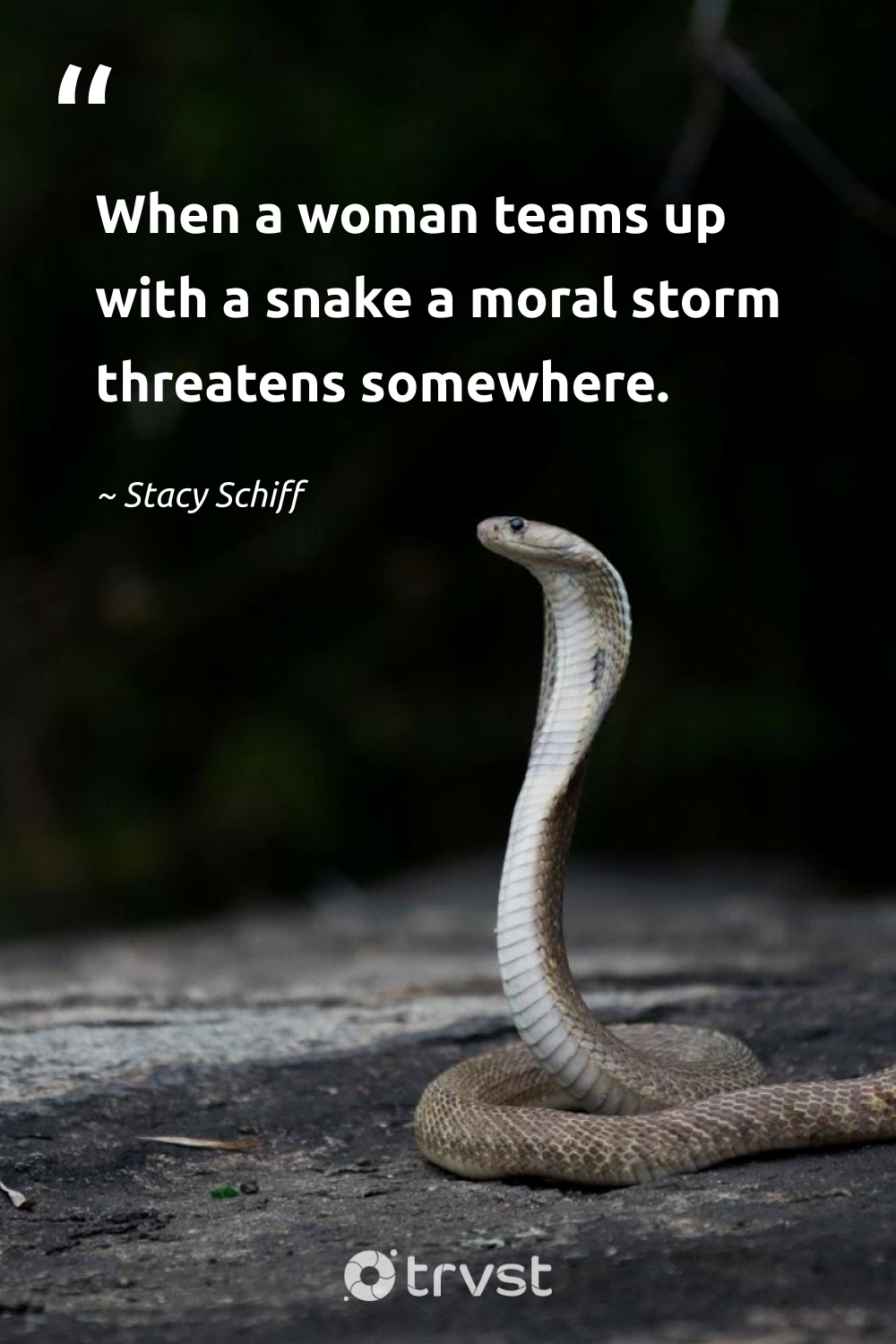49 Snake Quotes Exploring The World of These Limbless Reptiles (2024)