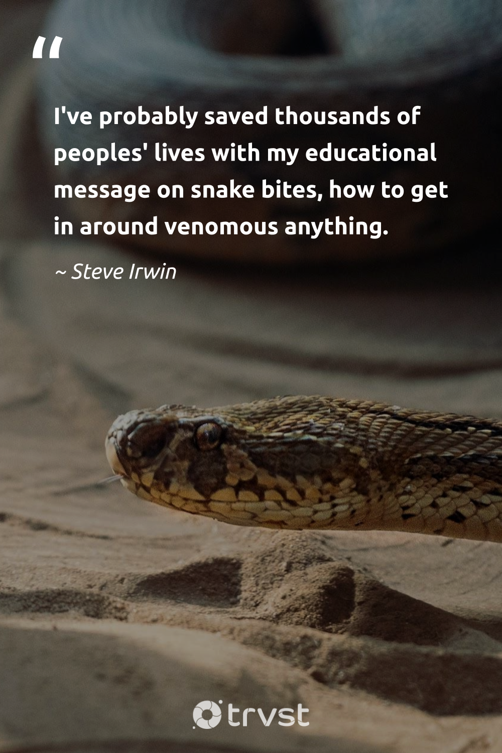 49 Snake Quotes Exploring The World of These Limbless Reptiles (2025)